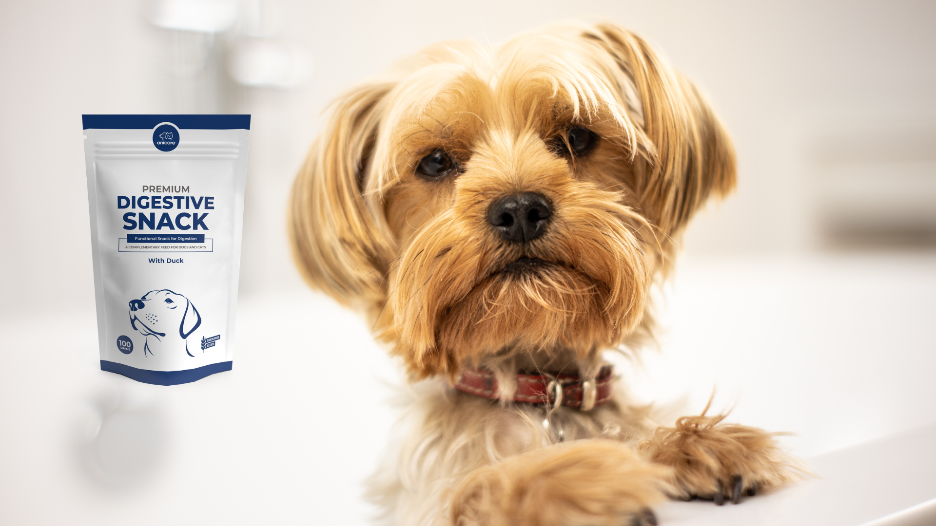 Premium Digestive Snack pour une meilleure digestion