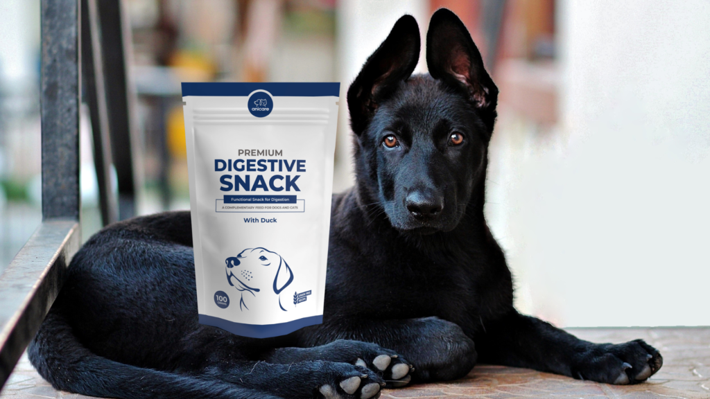 Premium Digestive Snack im Test: Hält das Produkt, was es verspricht ...